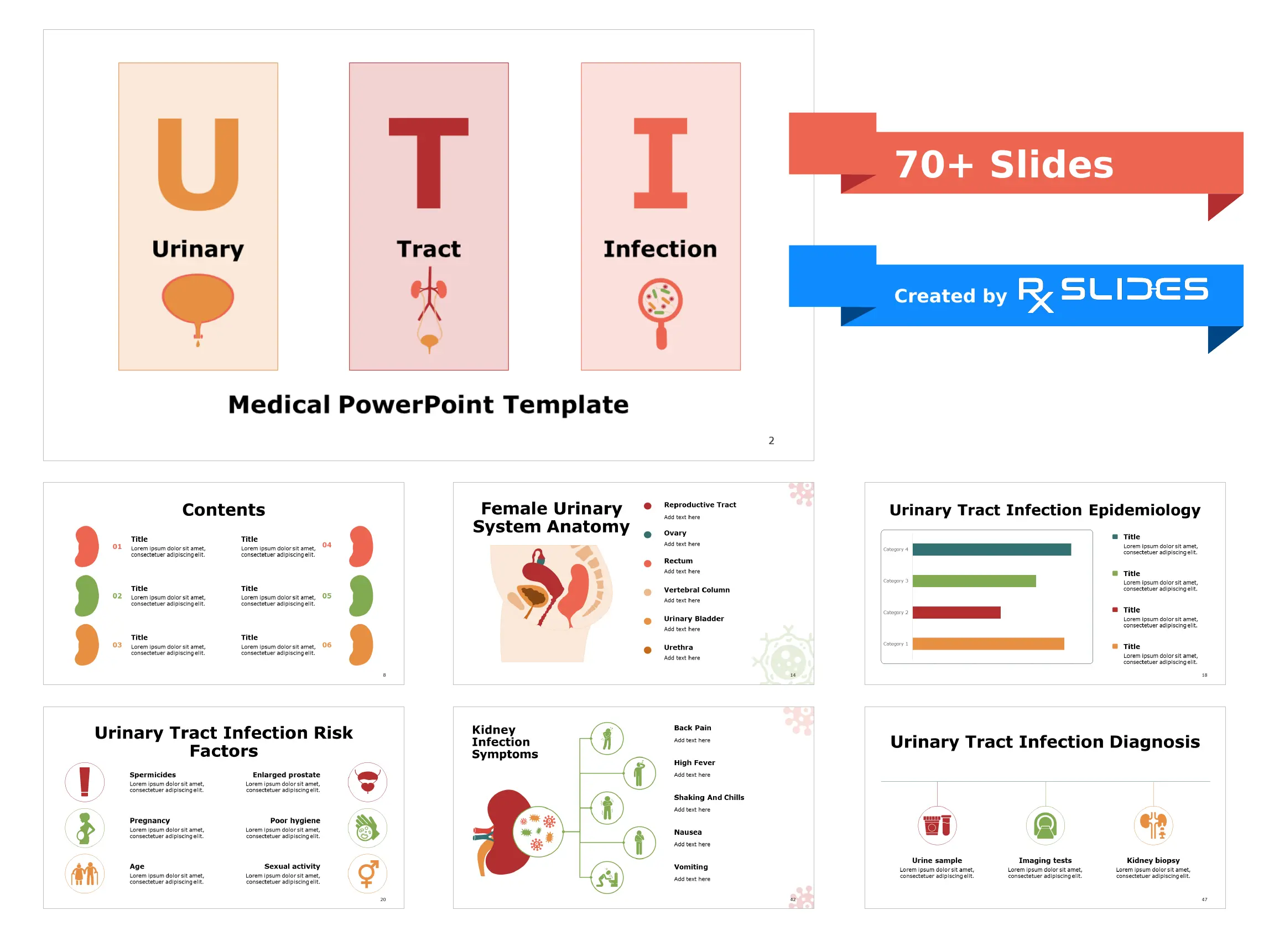 Download Urinary Tract Infections PowerPoint Template|RxSlides